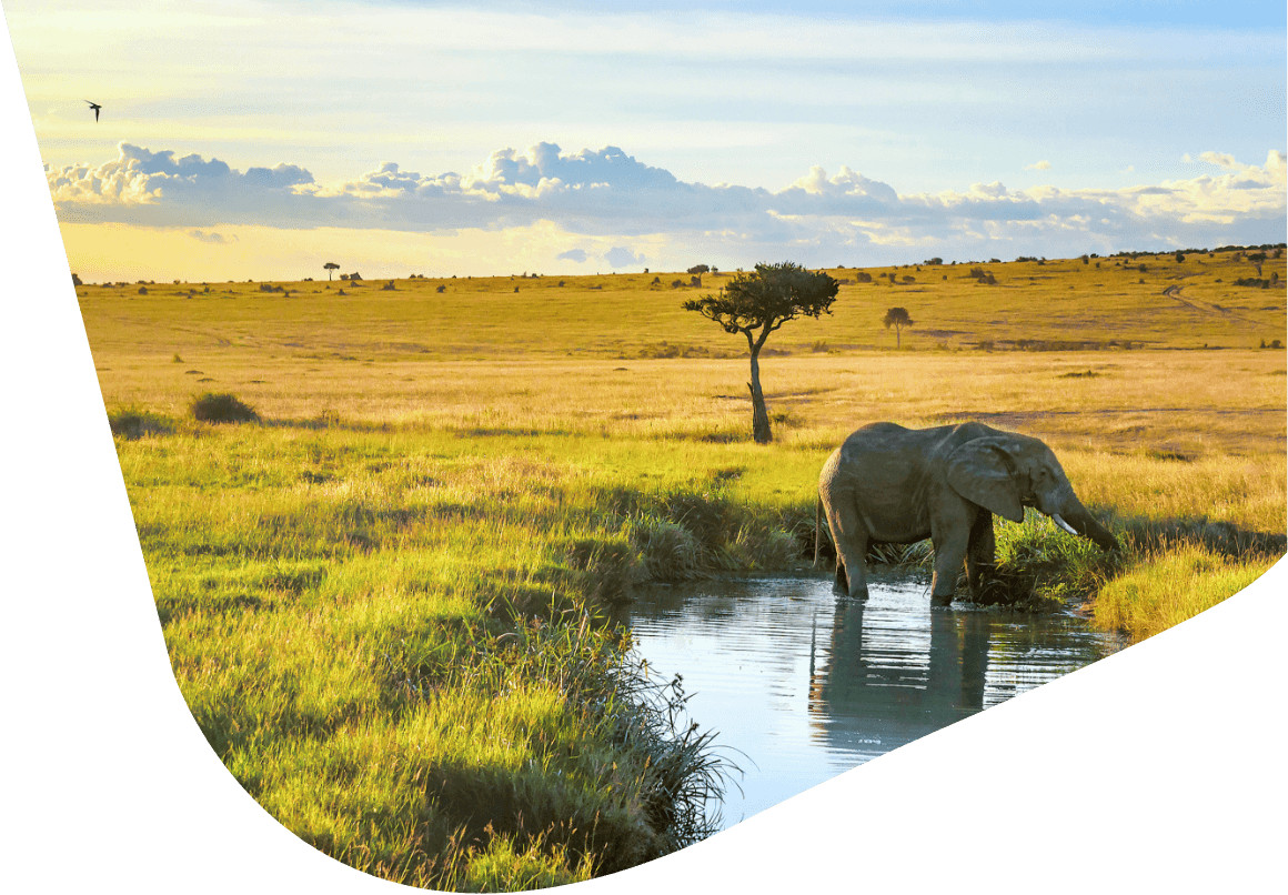 Complete Guide To Hiring In Kenya Global Expansion